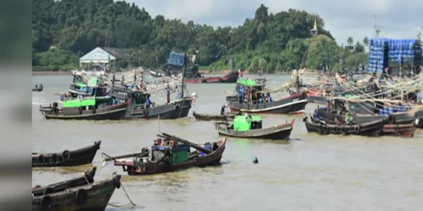 Easing Restrictions: Catching of squid granted during May | Myanmar International TV